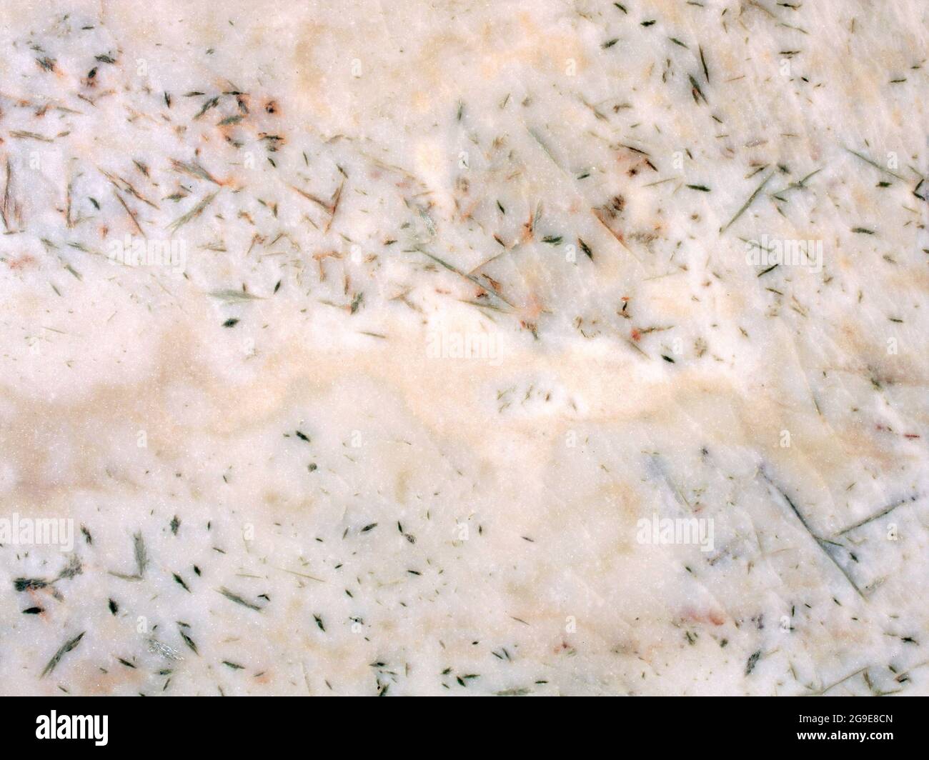 Texture of indian marble in fort Amber, India Stock Photo - Alamy