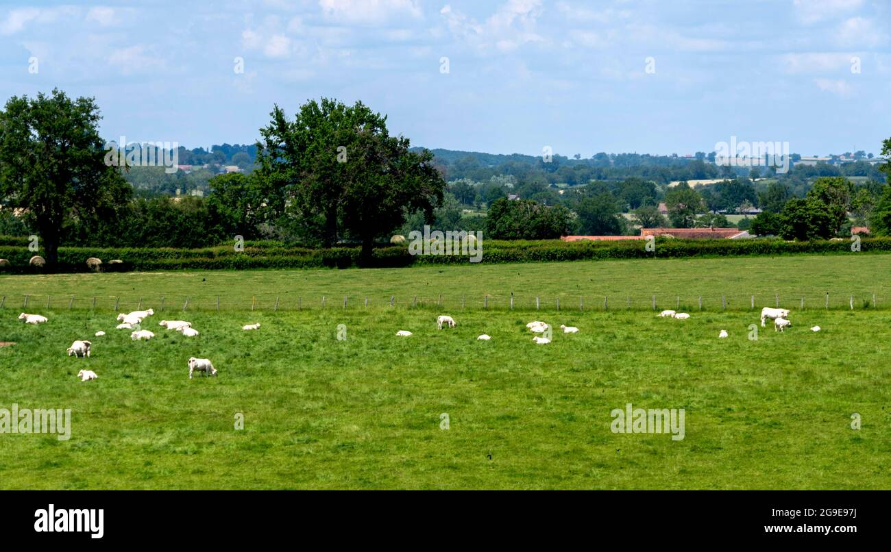 Bocage landscape hi-res stock photography and images - Alamy