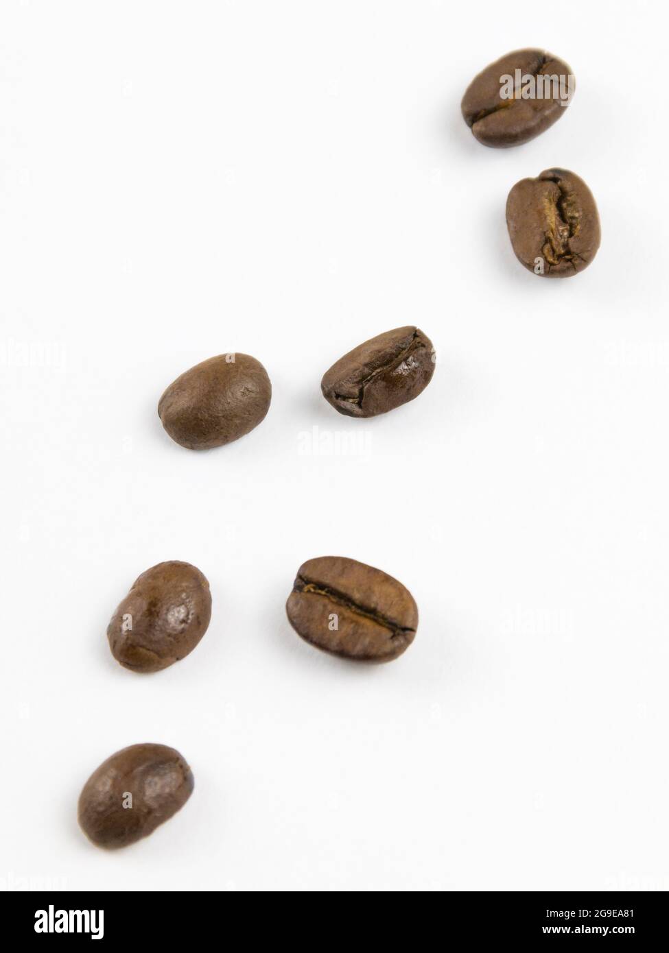a few isolated coffee beans on a white background, a close-up Stock ...