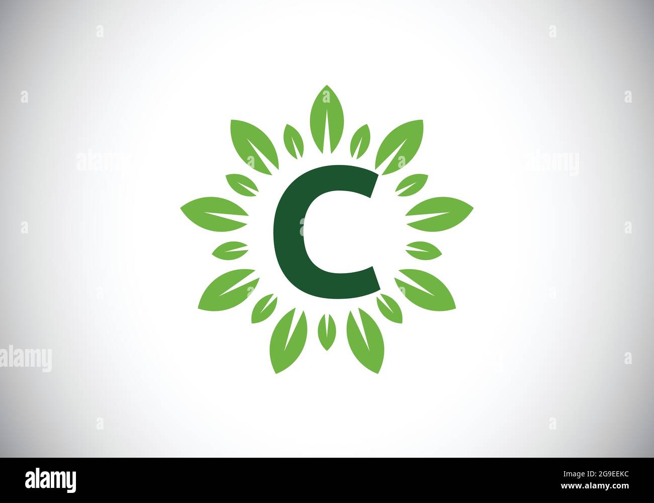 Initial C monogram letter alphabet with leaf wreath. Green leaf, flower ...