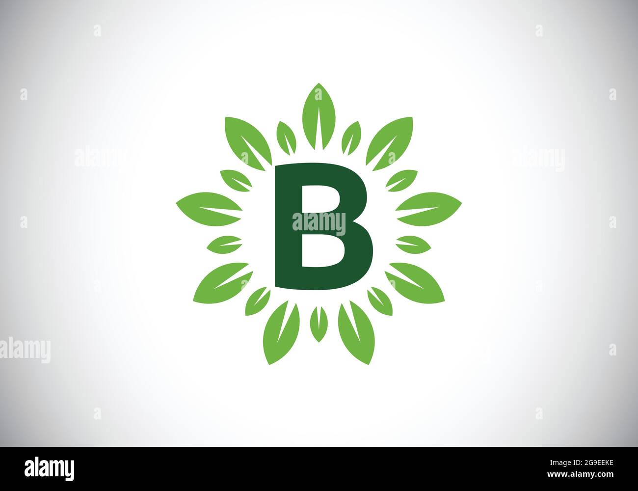 Initial B monogram letter alphabet with leaf wreath. Green leaf, flower ...