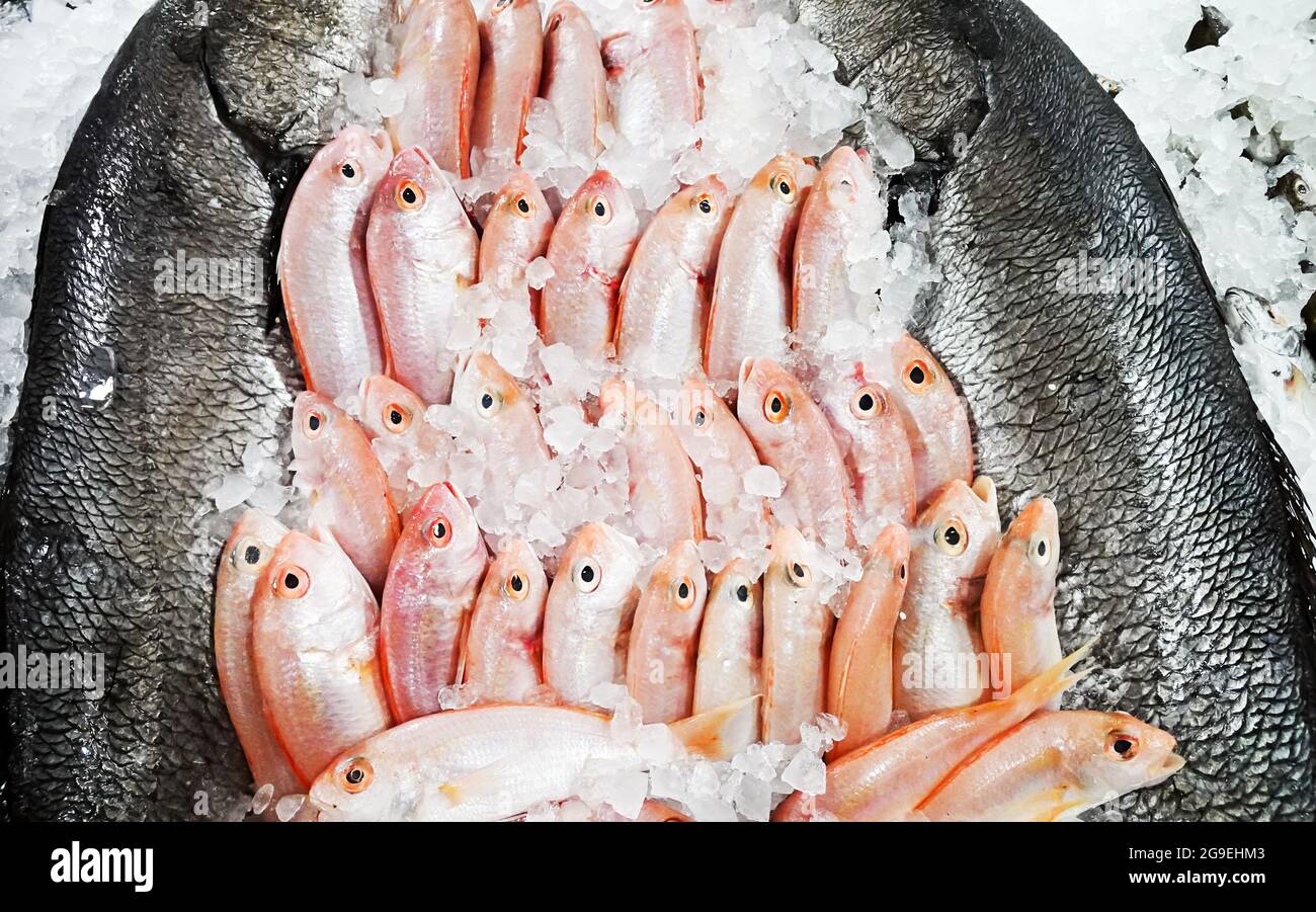 Fresh fish on ice Stock Photo - Alamy
