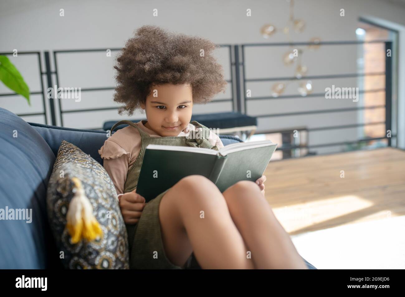 Little smart girl reading book on sofa Stock Photo - Alamy