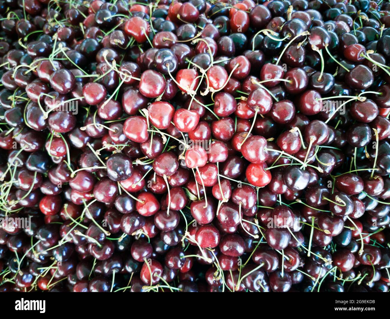 Sweet cherry background Stock Photo - Alamy