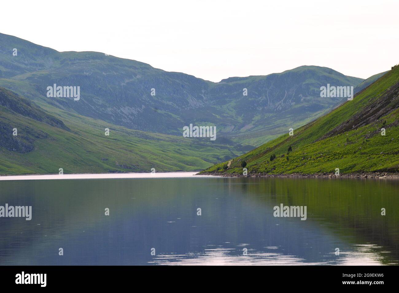 Rising trout hi-res stock photography and images - Alamy