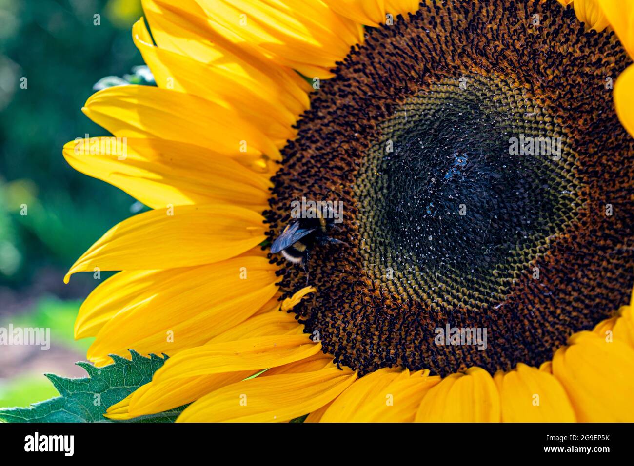 Rhosilli bay hi-res stock photography and images - Alamy