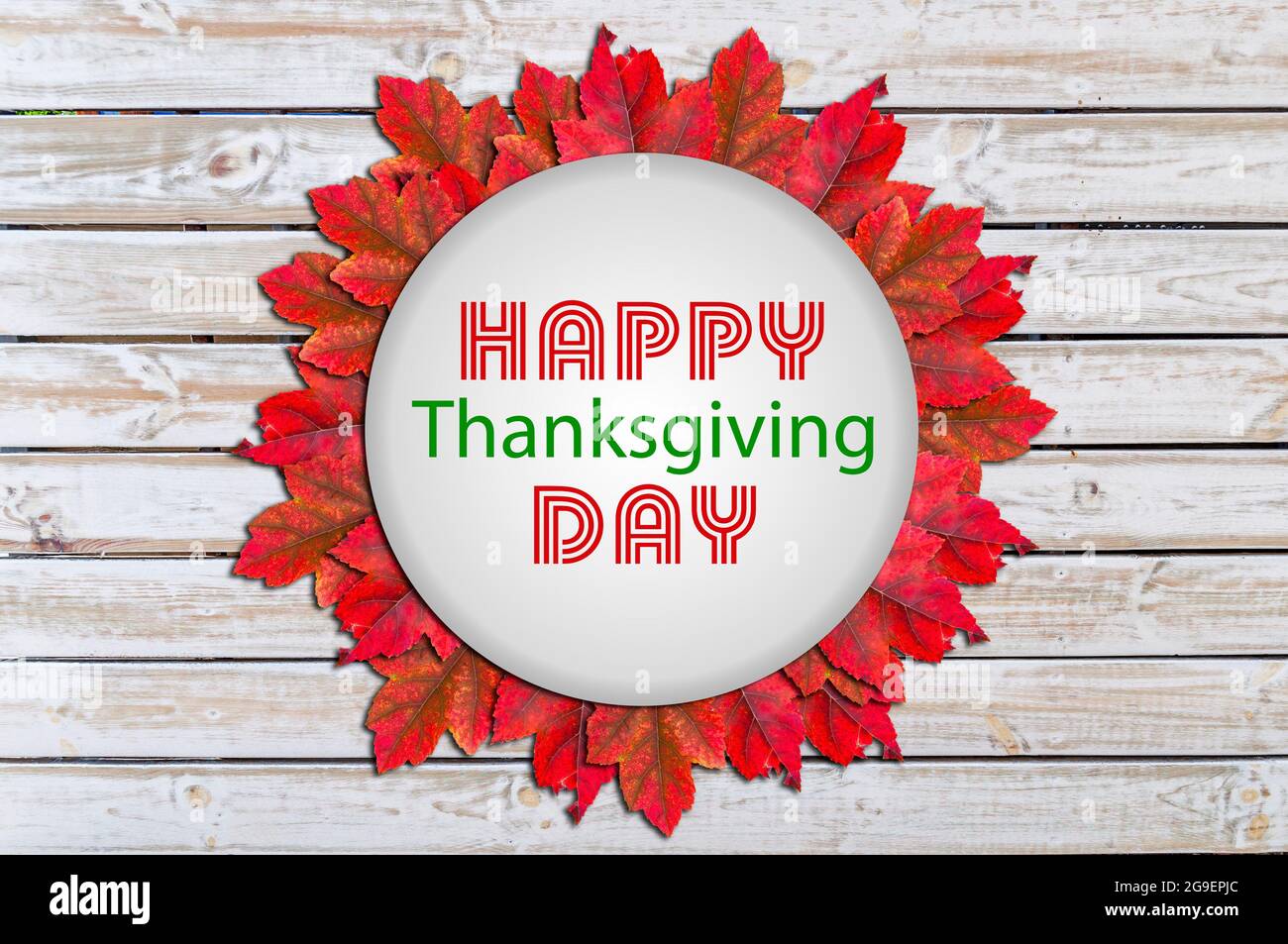 Happy Thanksgiving day written on shape on white wooden texture ...