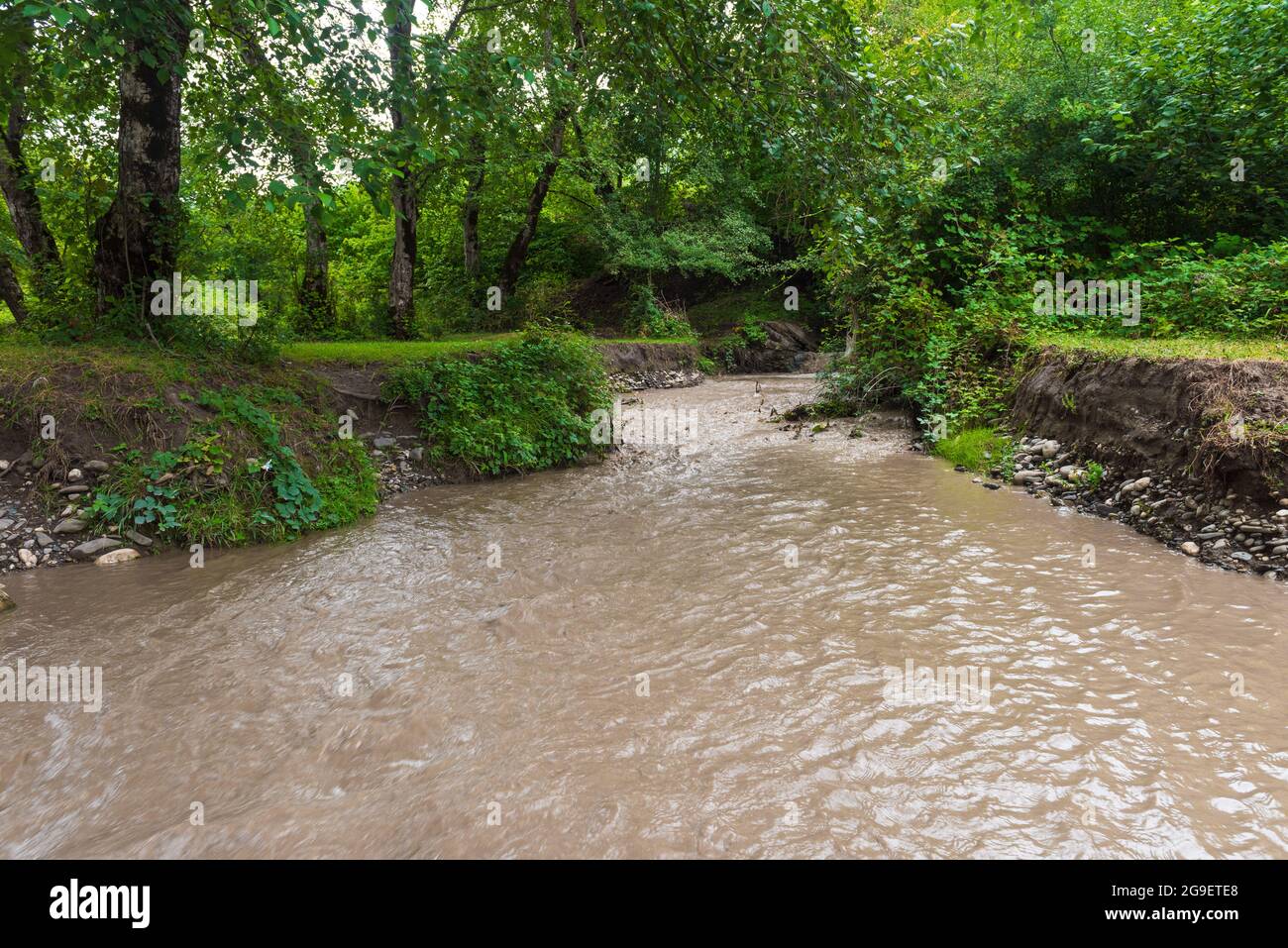 Muddy brown river in green hi-res stock photography and images - Alamy