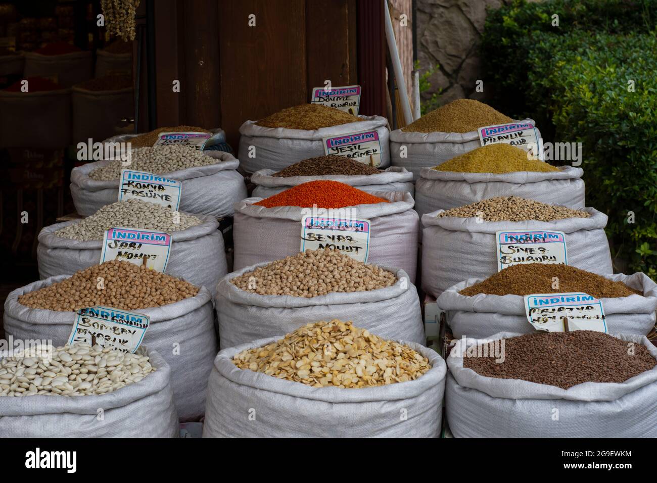 Seed exhibition hi-res stock photography and images - Alamy