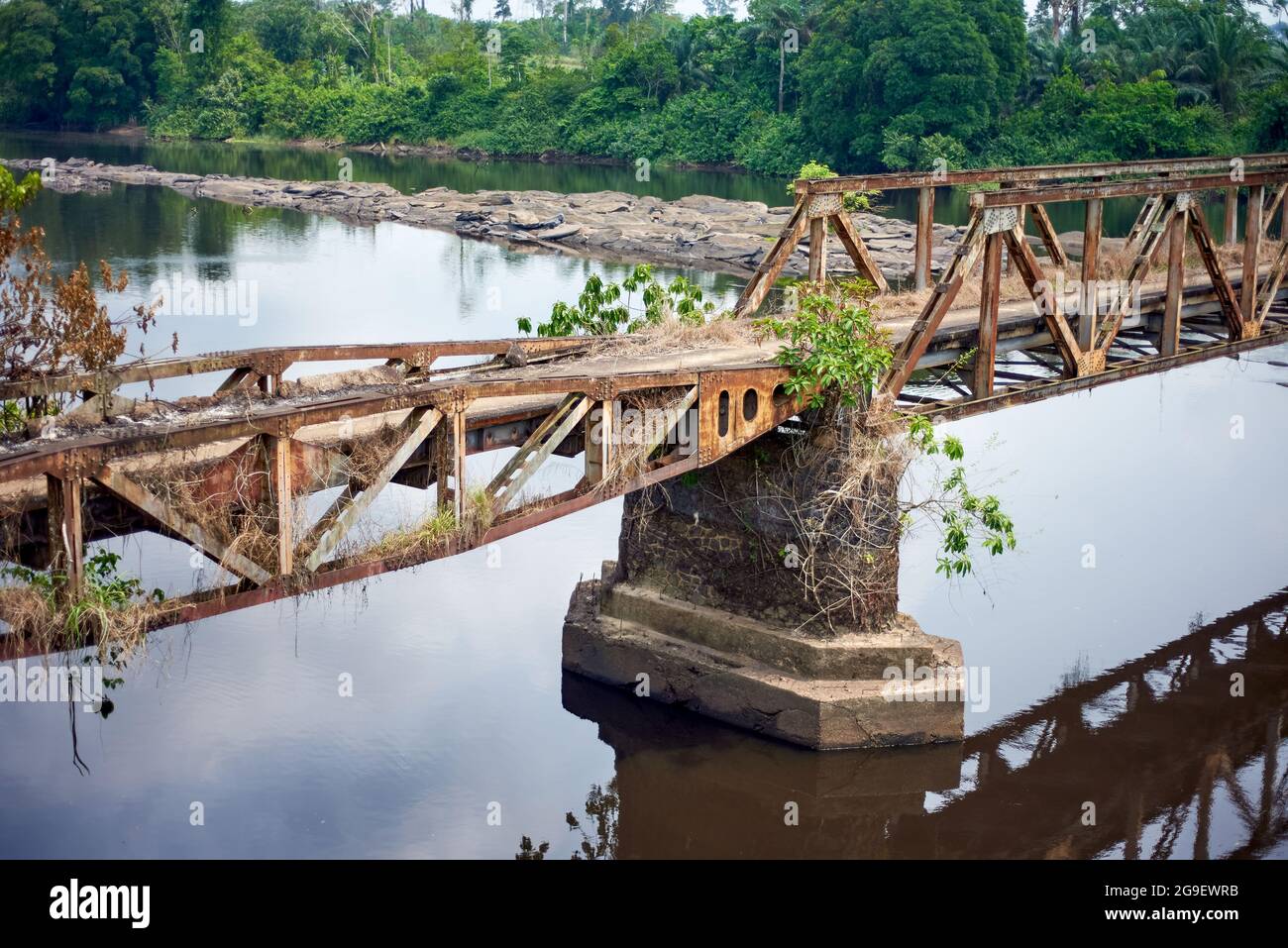 African jungle hi-res stock photography and images - Alamy