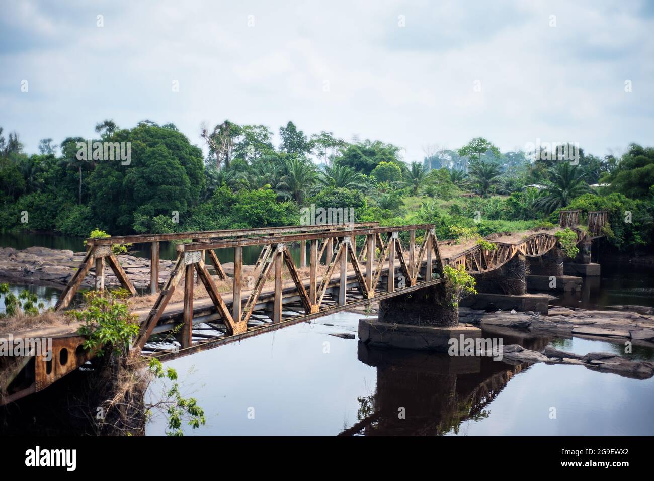 African rainforest hi-res stock photography and images - Alamy