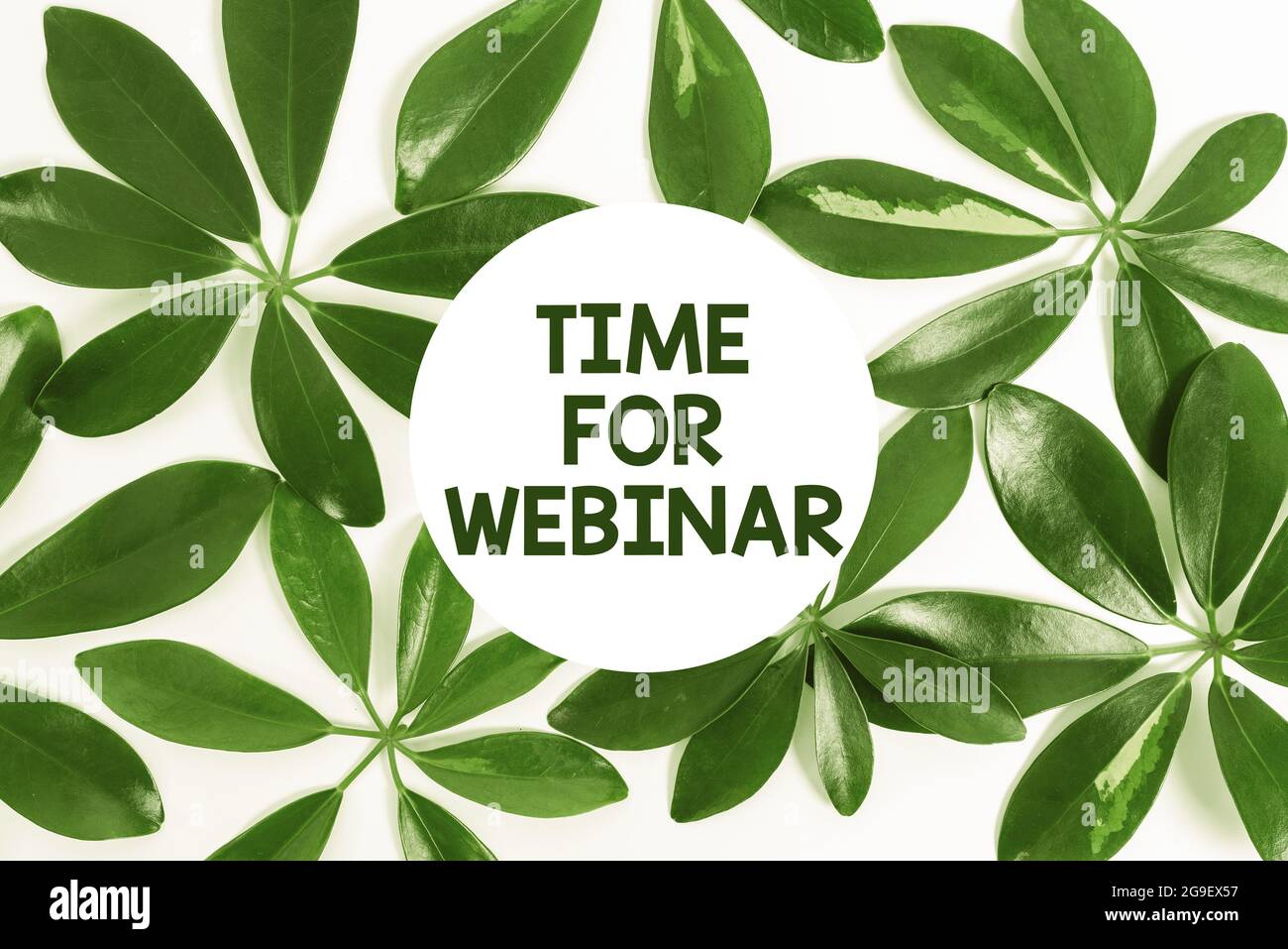 Text caption presenting Time For Webinar. Business concept elearning ...