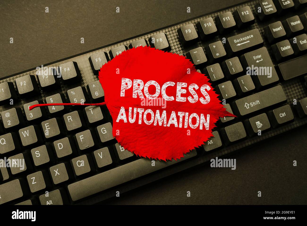 Conceptual caption Process Automation. Business concept the use of ... Conceptual caption Process Automation. Business concept the use of ...