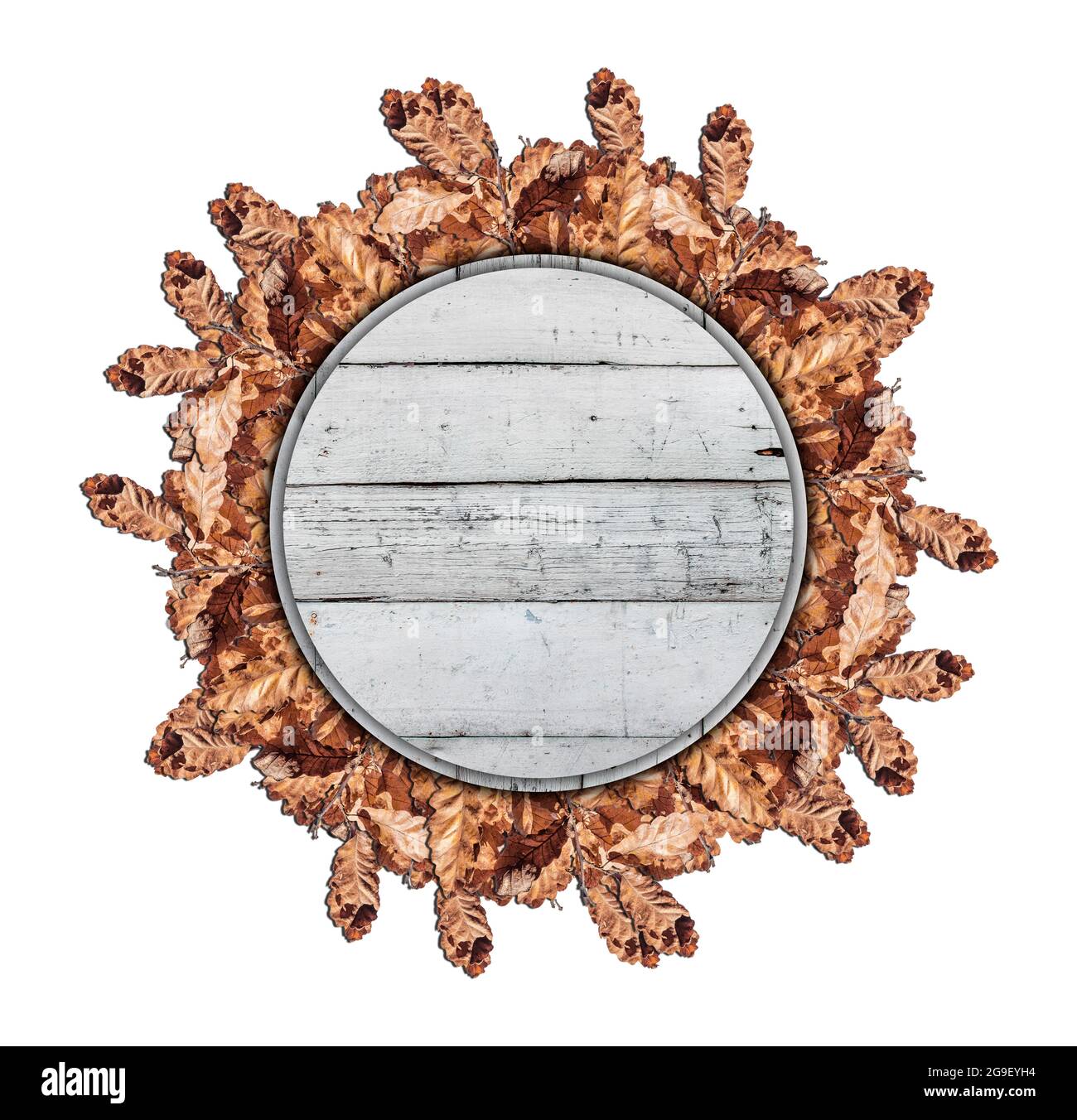 Autumn circle made from brown tree leaves and wooden circle isolated on ...