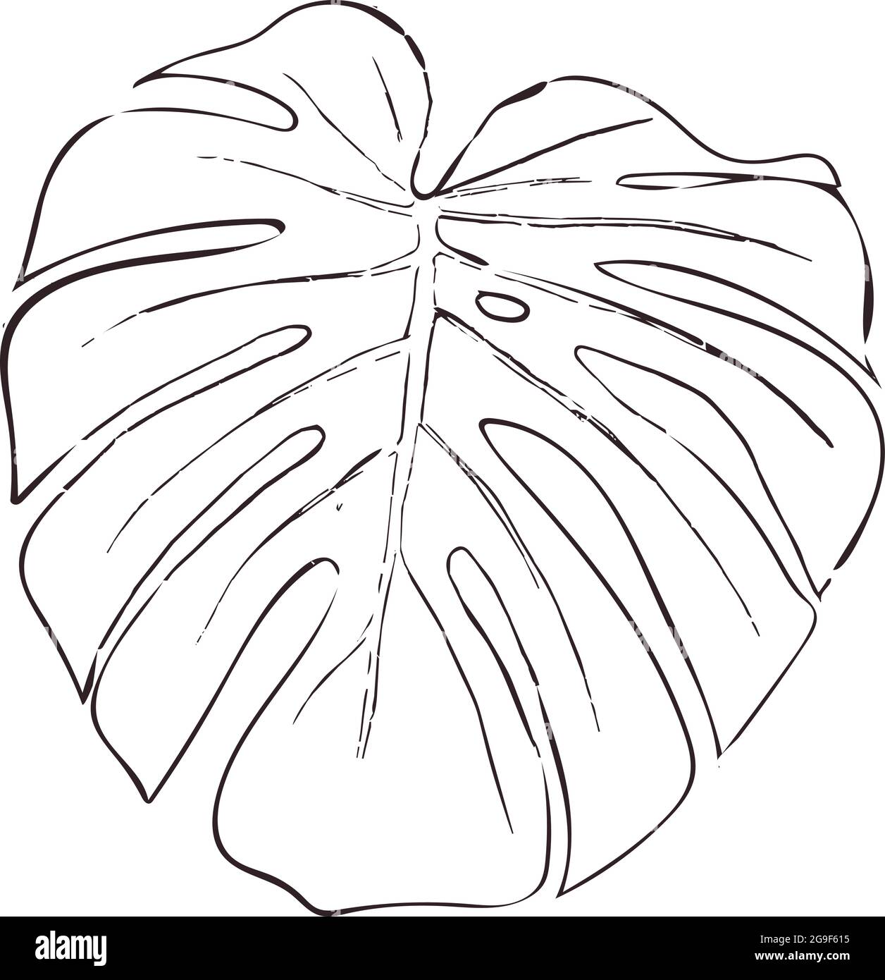 Monstera leaf line art. Contour drawing. Minimalism art. Modern decor ...