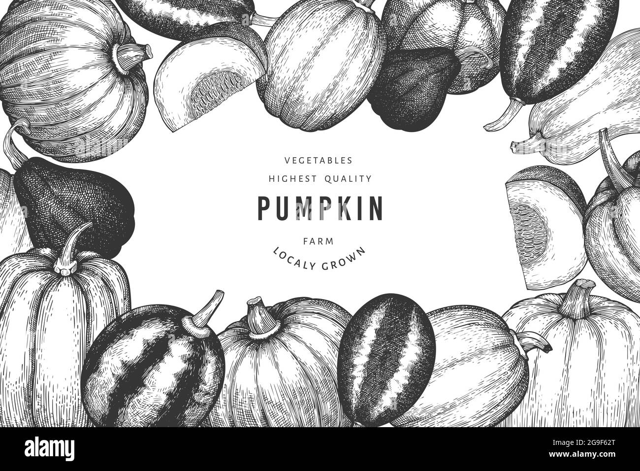 Pumpkin color design template. Vector hand drawn illustrations ...