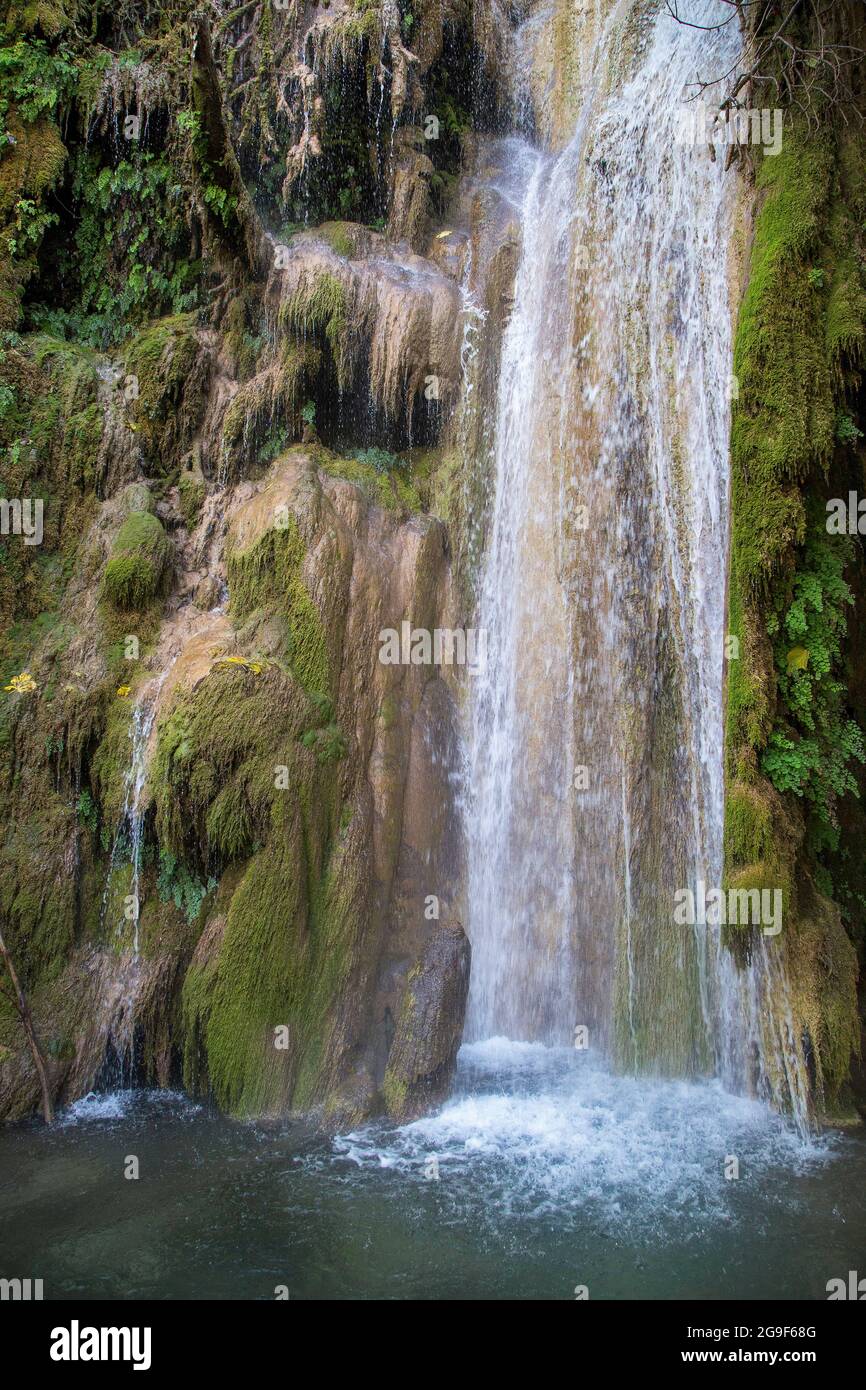 Spring scene forest waterfall hi-res stock photography and images - Alamy