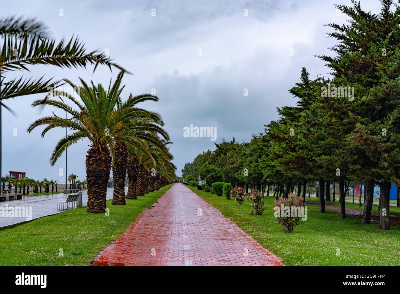 Cycle path after rain in Batumi Stock Photo - Alamy