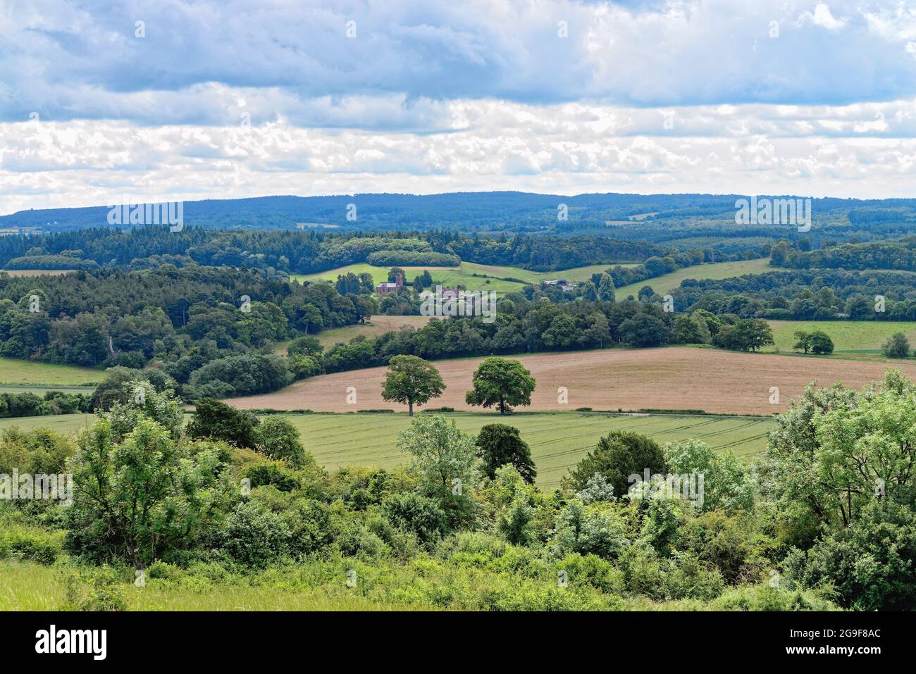 The view from Newlands Corner near Guildford, of the Surrey countryside ...