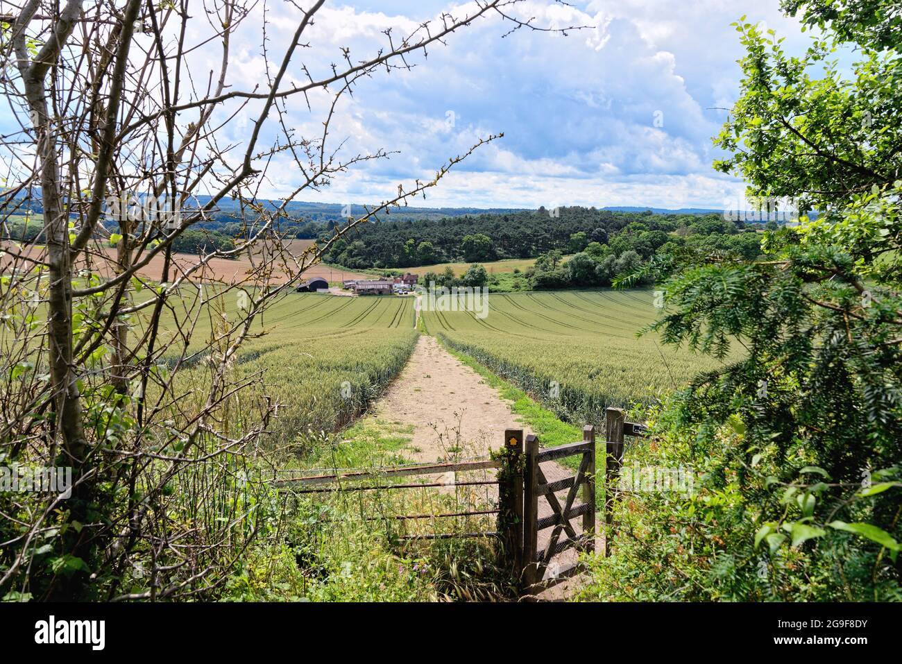 The view looking south from Newlands Corner in the Surrey countryside ...