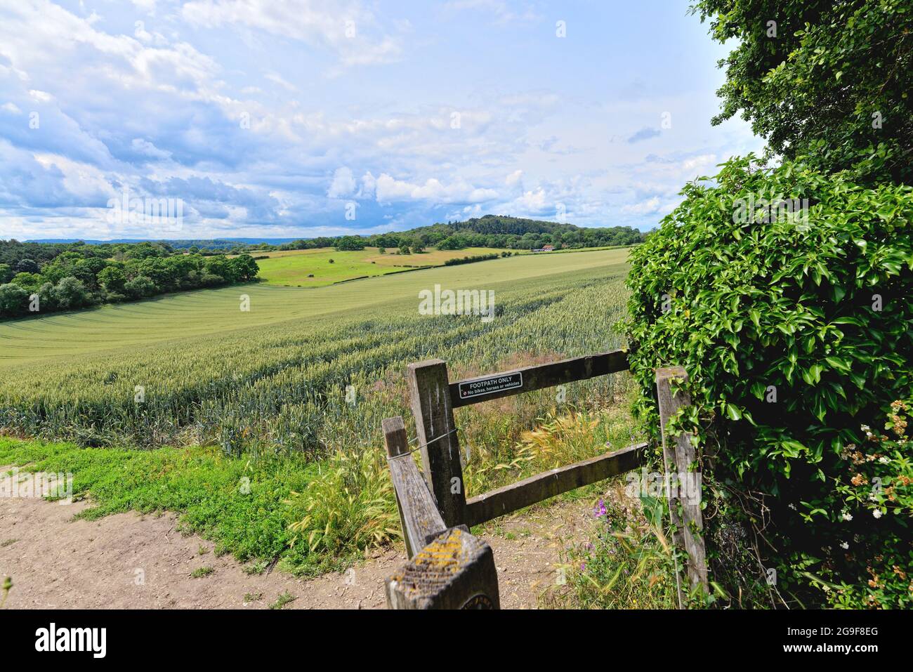Perspective from the hill hi-res stock photography and images - Alamy