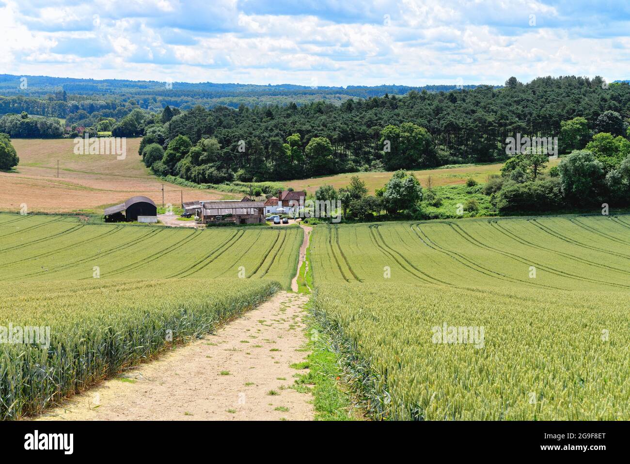 The view looking south from Newlands Corner in the Surrey countryside ...