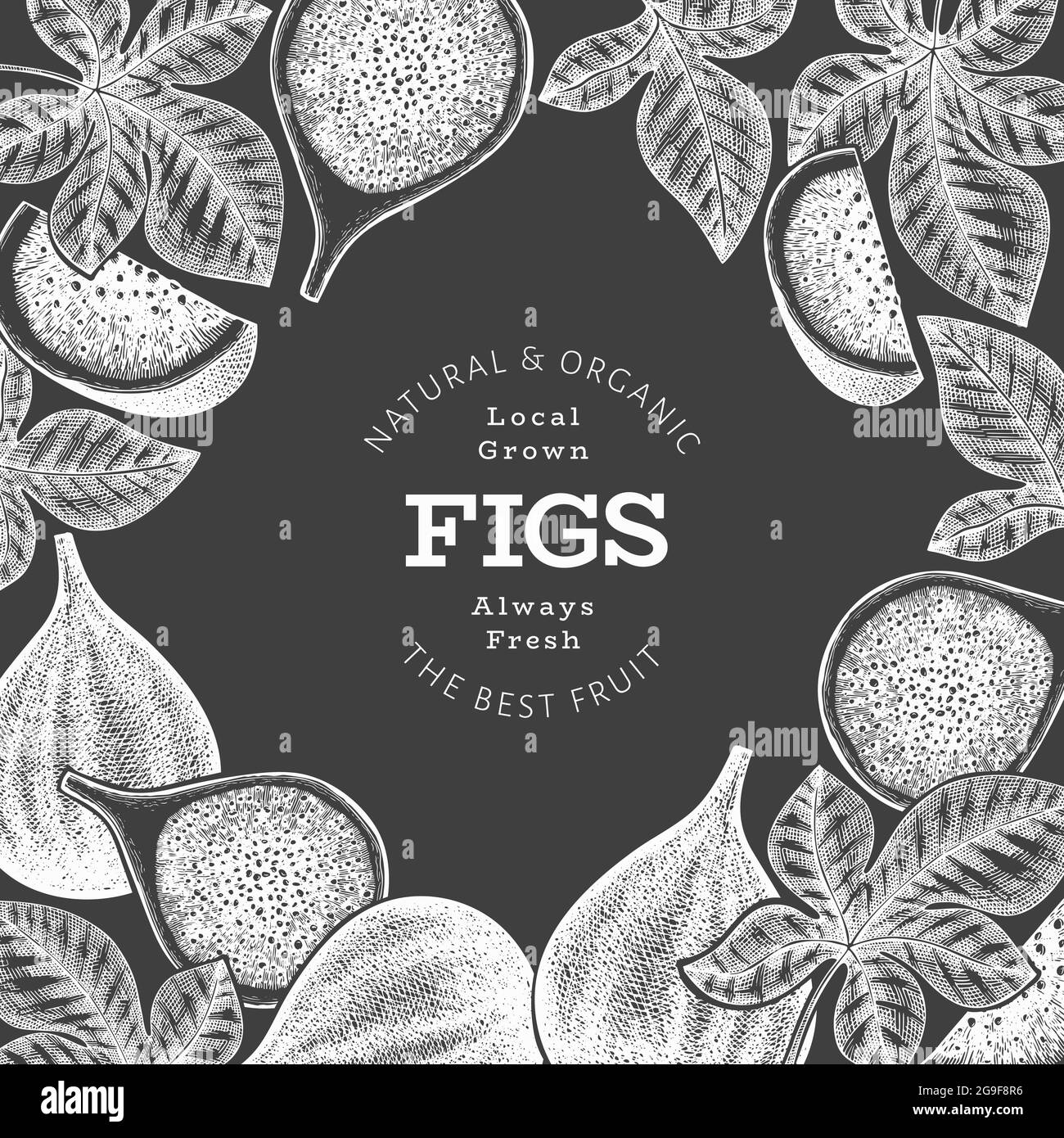 Hand drawn fig fruits design template. Organic fresh food vector ...