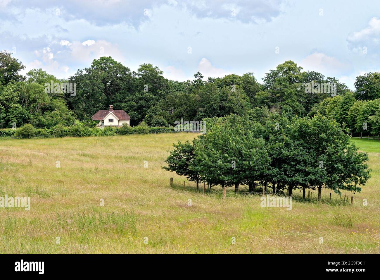 A remote private house in the Surrey Hills countryside near Shere, near ...
