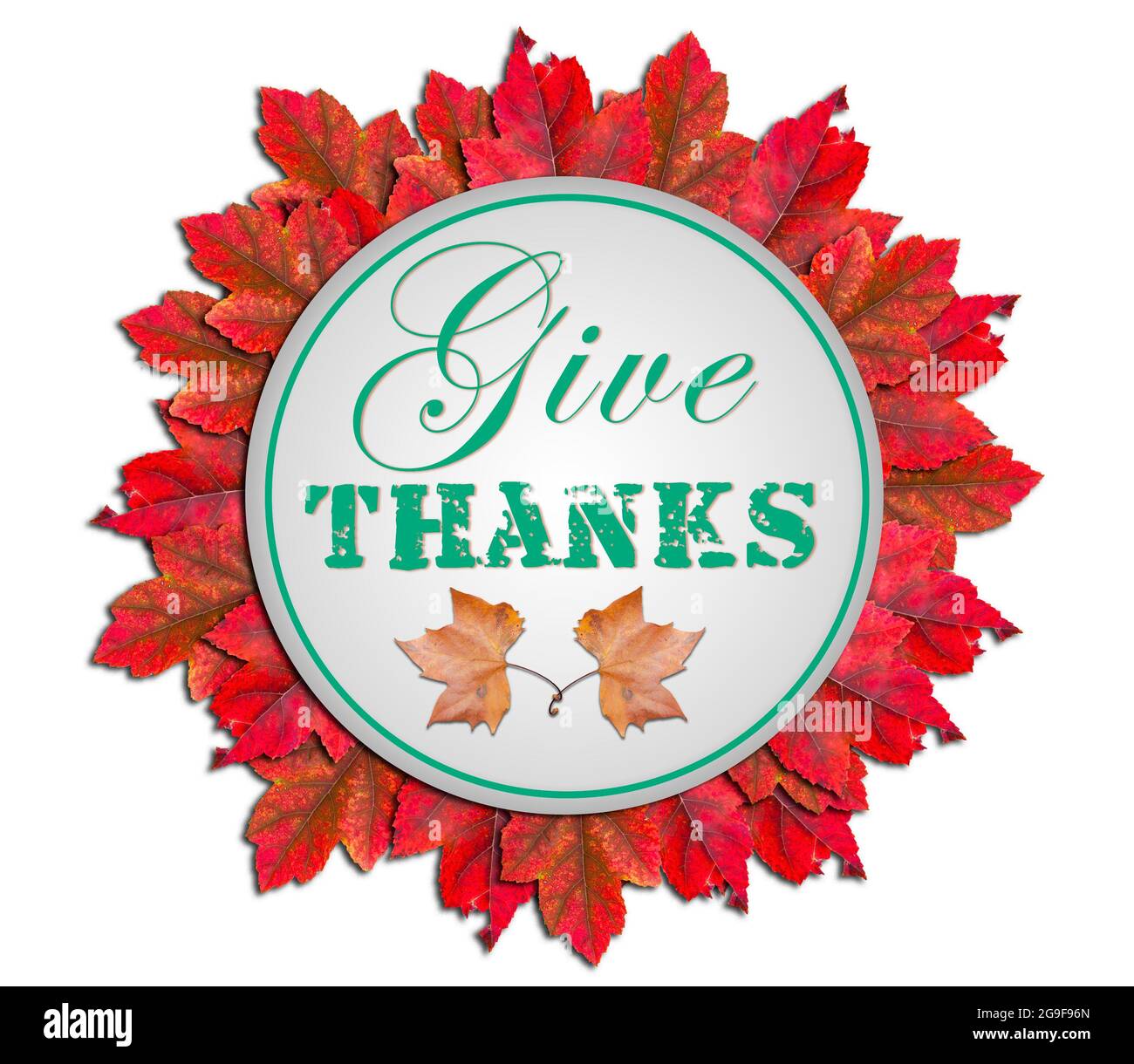 Give thanks written in circle inside red leaves white background Stock ...