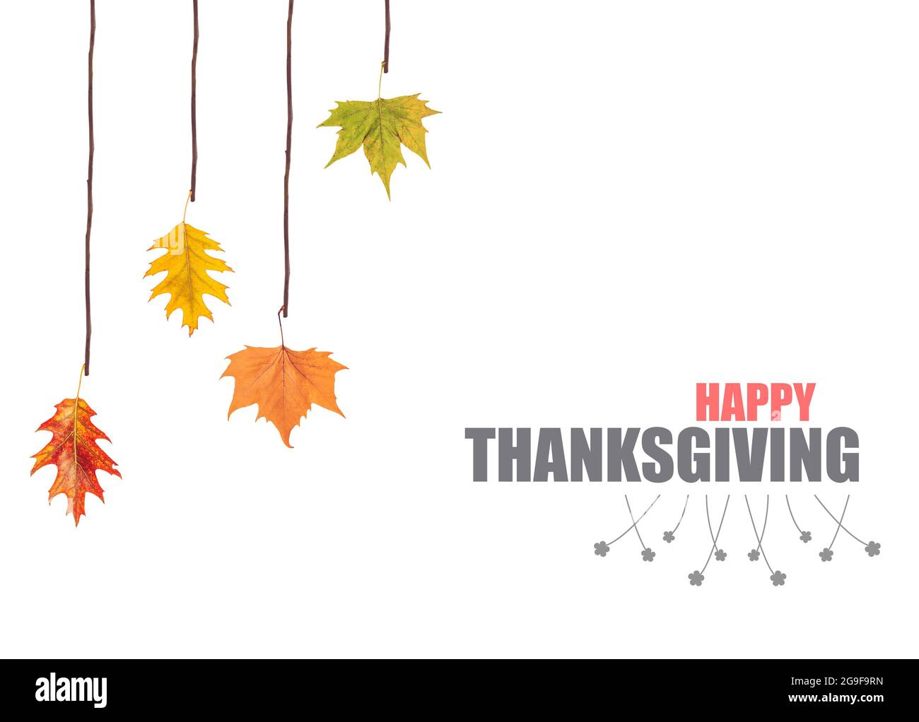 Happy thanksgiving and leaves hanging on tree branch Stock Photo - Alamy