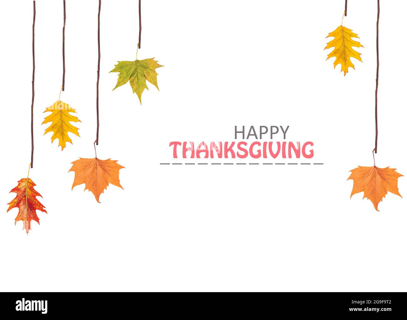 Thanksgiving day celebration Cut Out Stock Images & Pictures - Alamy