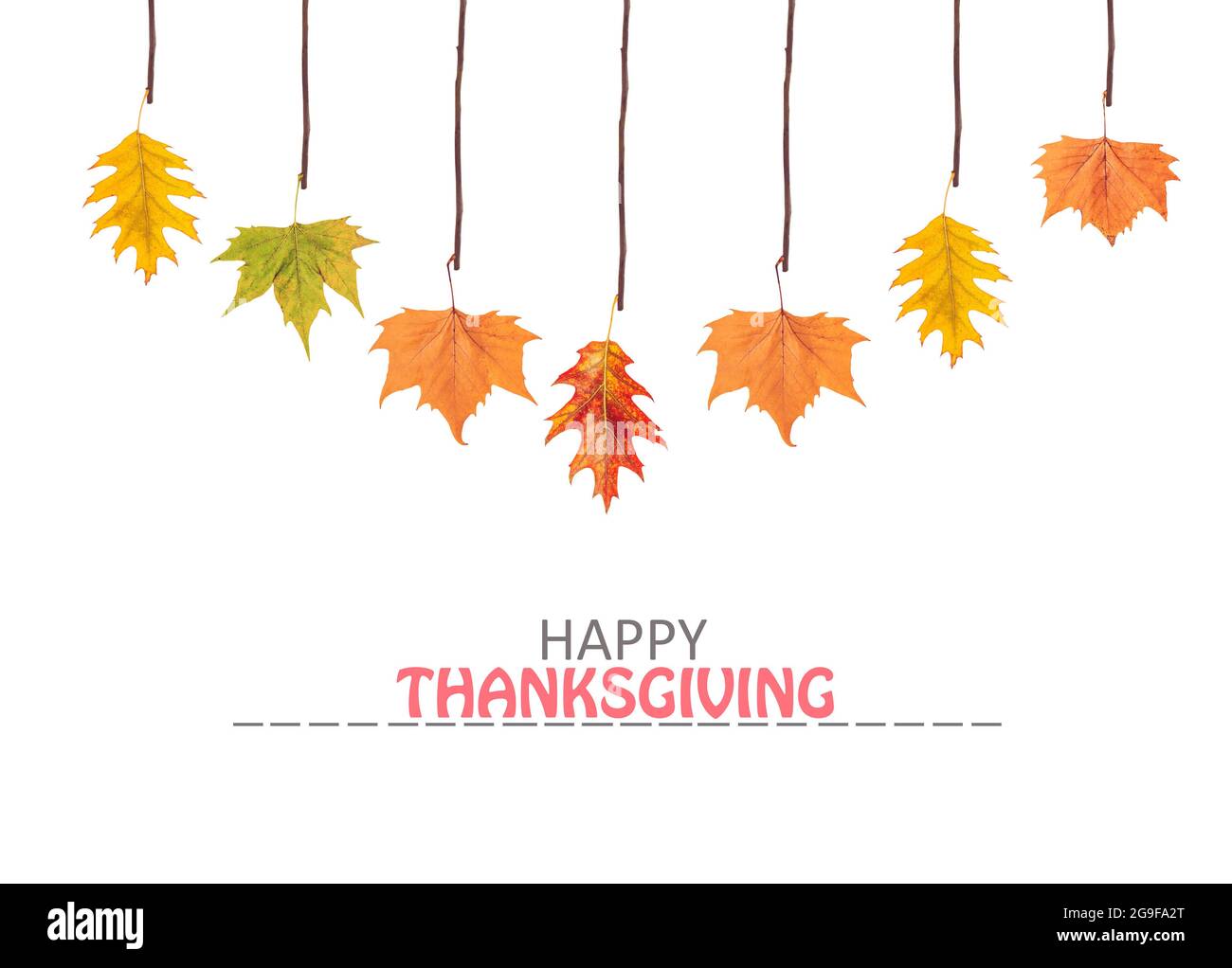Thanksgiving Cut Out Stock Images & Pictures - Alamy