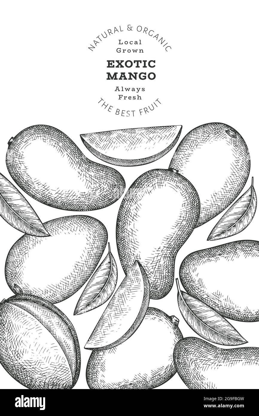 Hand drawn sketch style mango banner. Organic fresh fruit vector ...