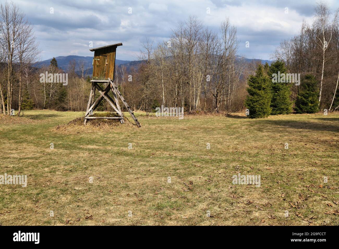 Hunting pulpit structure at a forest glade in Zywiec Beskids (Beskid ...