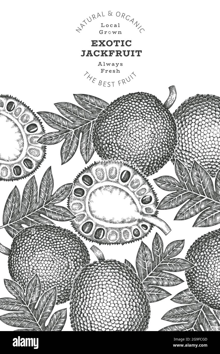 Hand drawn sketch style jackfruit banner. Organic fresh fruit vector ...