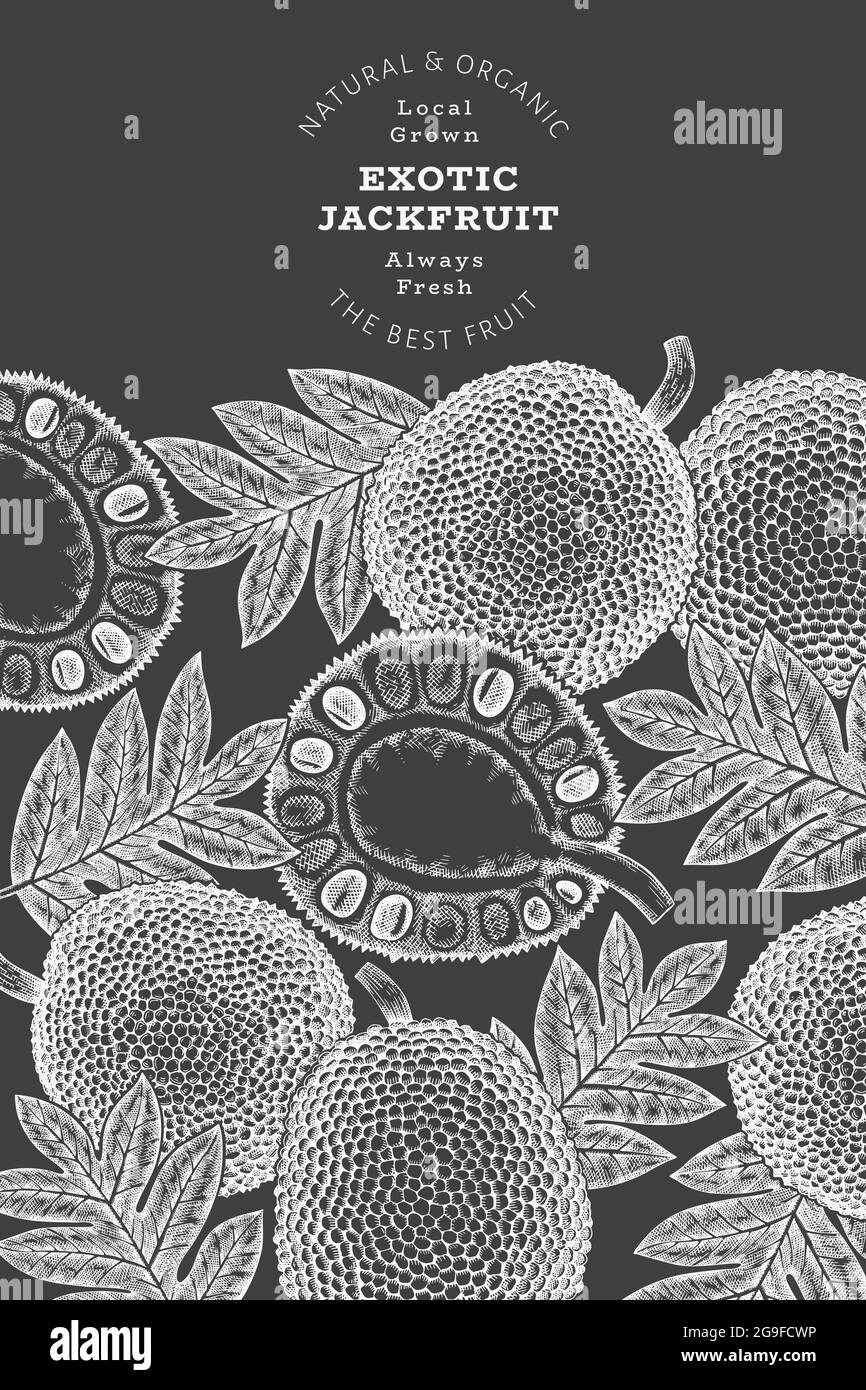 Hand drawn sketch style jackfruit banner. Organic fresh fruit vector illustration on chalk board ...