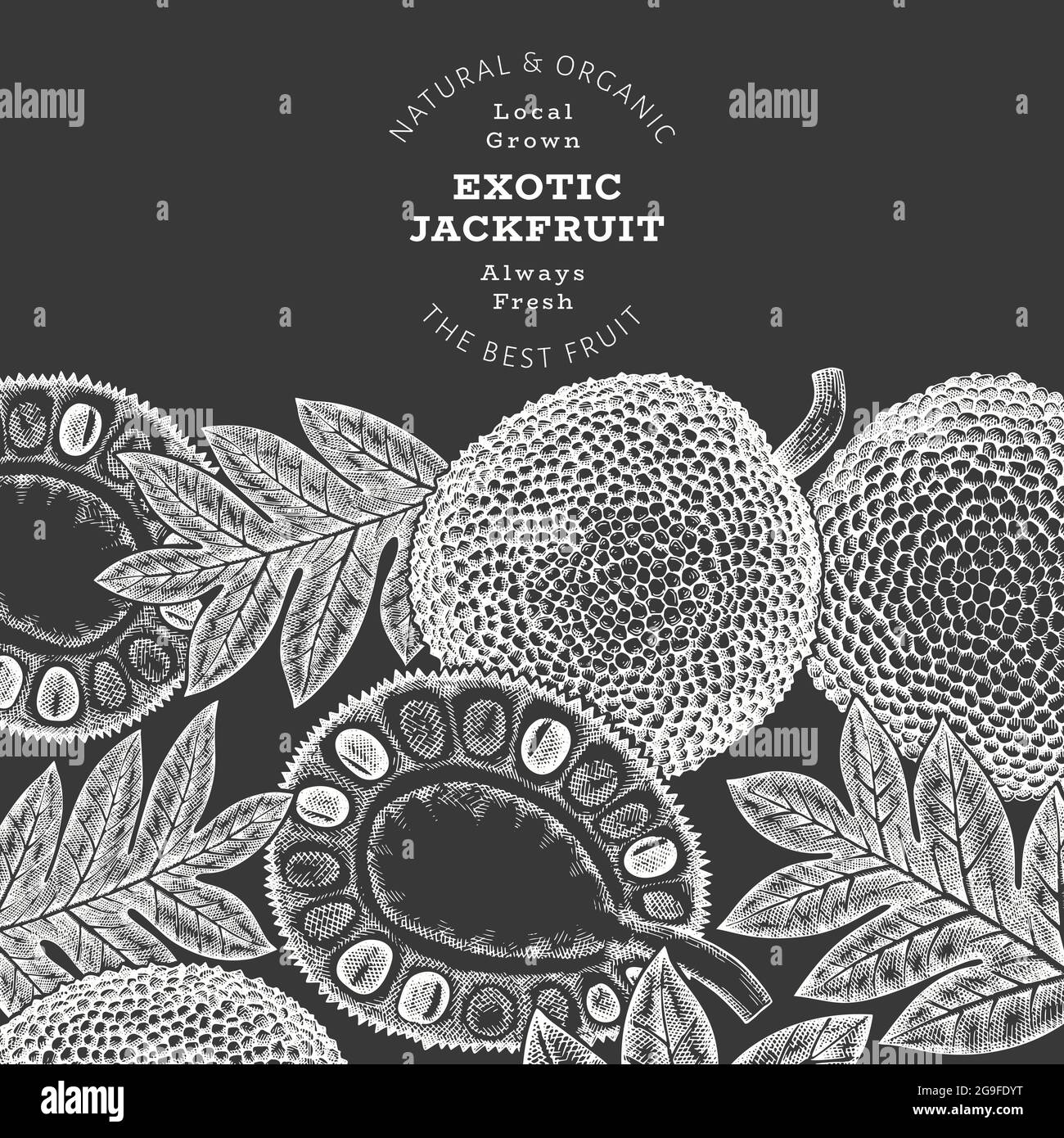 Hand drawn sketch style jackfruit banner. Organic fresh fruit vector illustration on chalk board ...