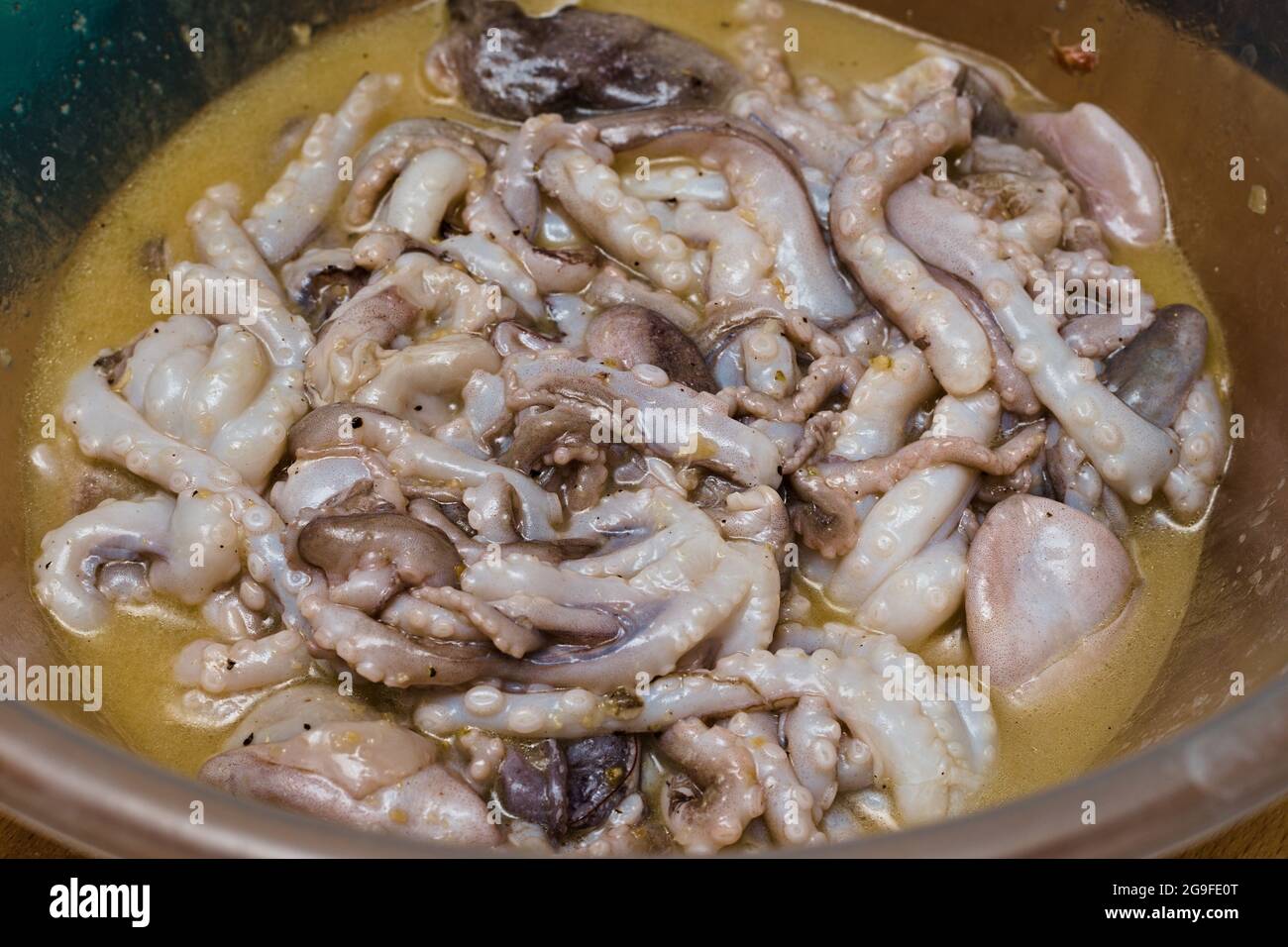 Baby octopuses hi-res stock photography and images - Alamy