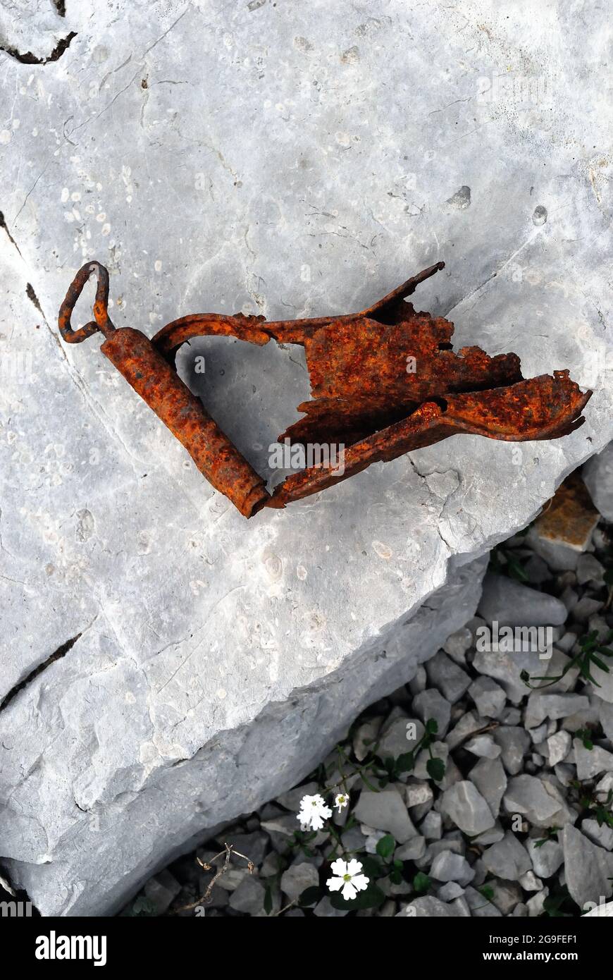 Austrian Army High Resolution Stock Photography and Images - Alamy