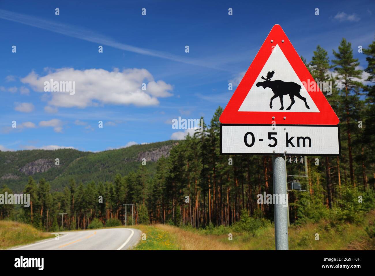 Moose warning sign hi-res stock photography and images - Alamy