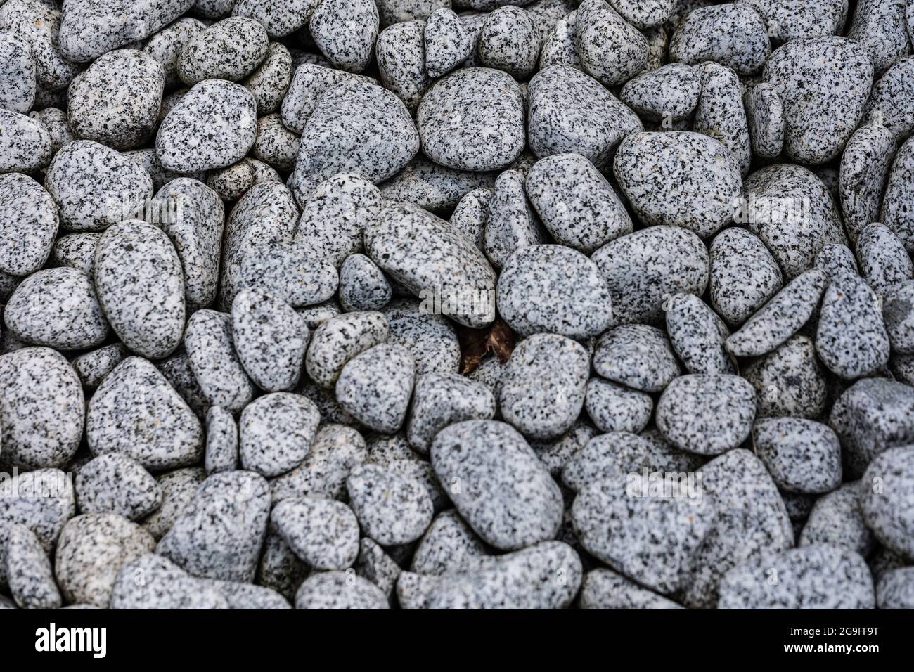 Pebbles in my garden hi-res stock photography and images - Alamy