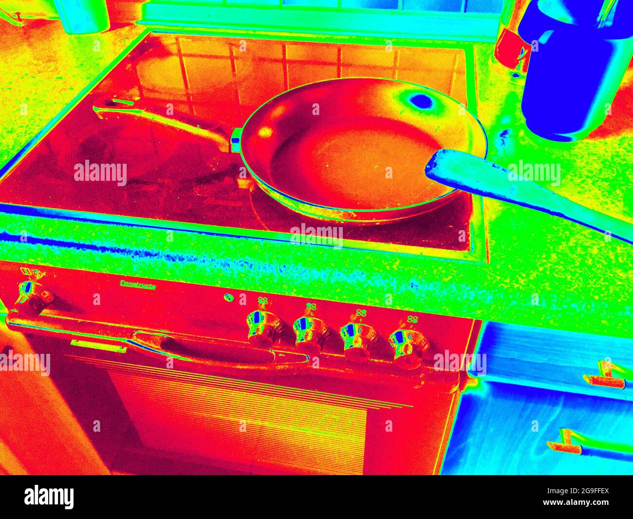 Thermal image recordings of temperature differences in infrared light ...