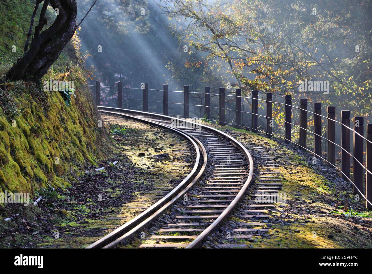 Alishan national scenic area hi-res stock photography and images - Alamy