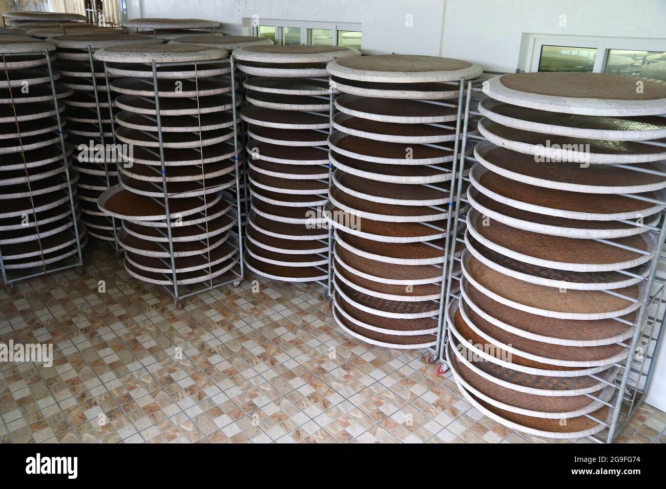Tea farm in Alishan region of Taiwan. Tea leaf drying racks - special ...