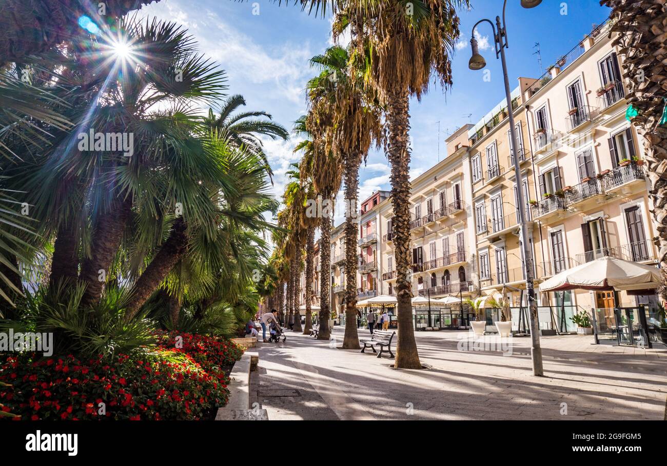 BARI, ITALY - SEPTEMBER 10, 2017: Palm Trees Alley, beautiful street of ...