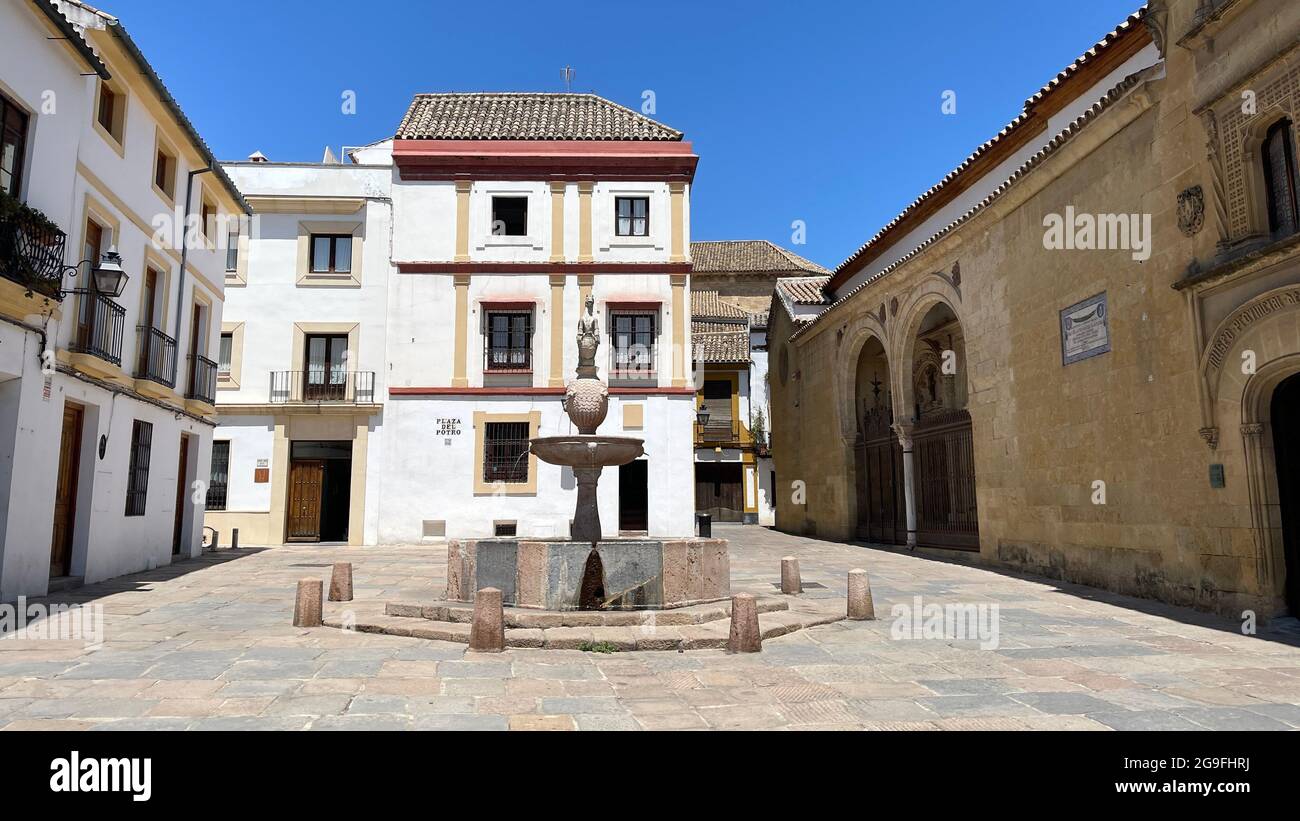 El potro hi-res stock photography and images - Alamy