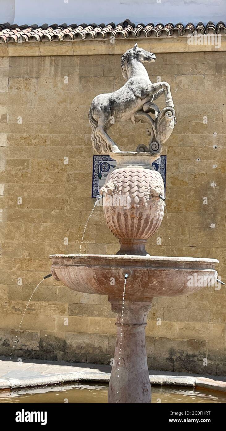 El potro hi-res stock photography and images - Alamy