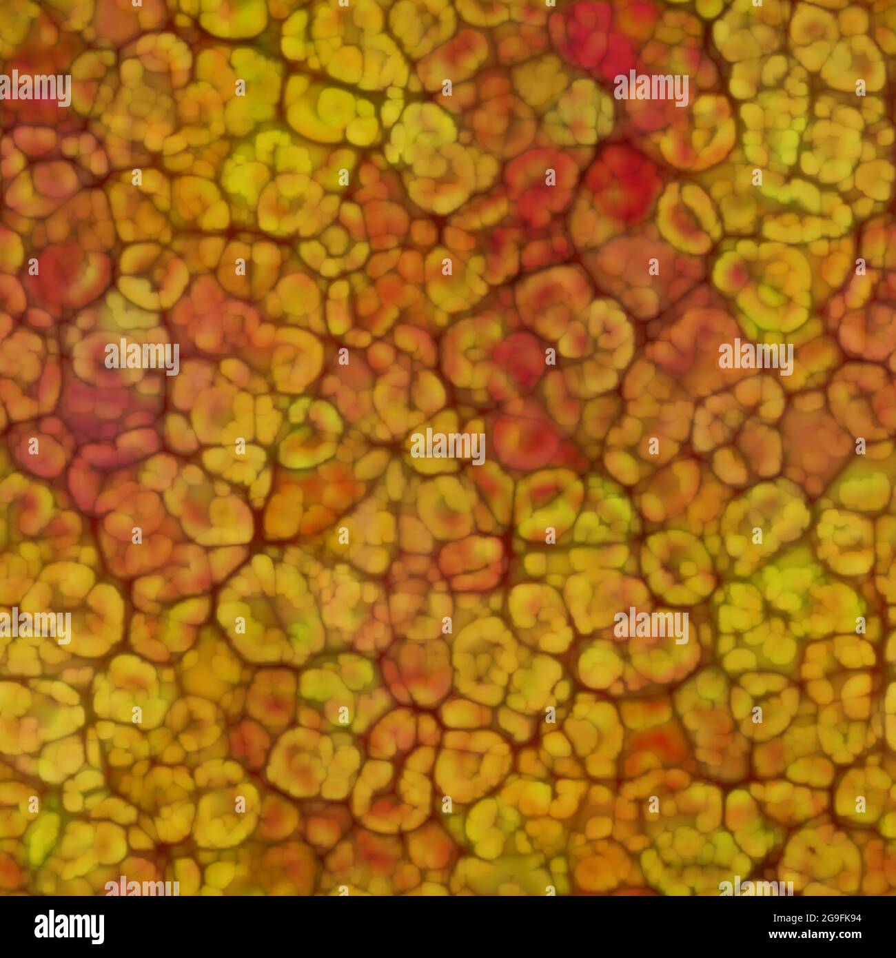 Lichen, Mushroom, Fungus family of different colors as organic seamless ...