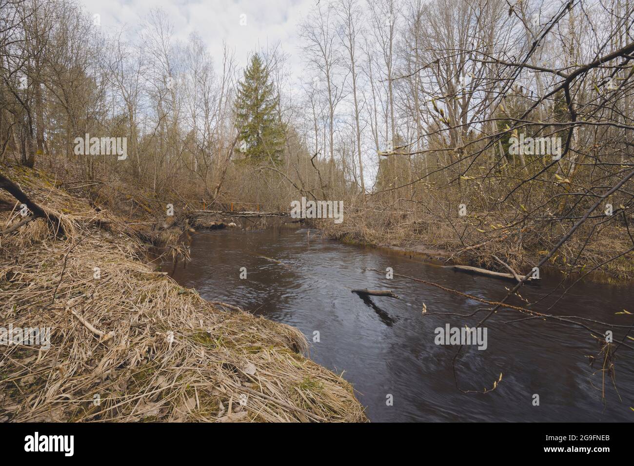 Handmade wooden bridge across a forest river. Early spring in a mixed ...