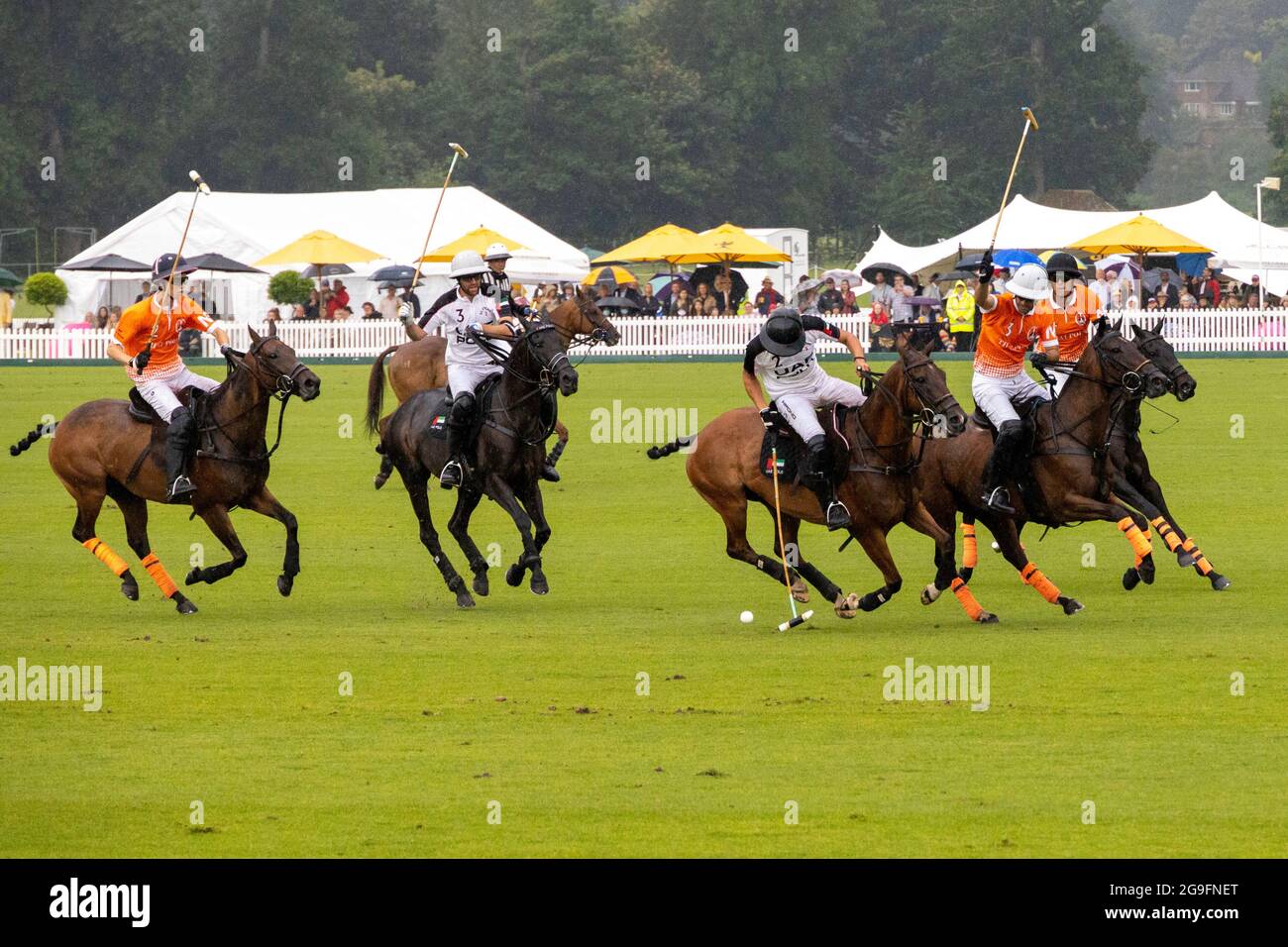 Cowdray park polo hi-res stock photography and images - Alamy
